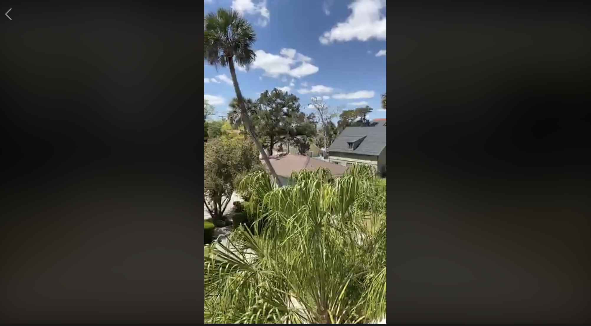 Virtual open house tour with over 12,000 views! | RealBird Blog
